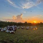 Beekeeping Classes – D & J Apiary