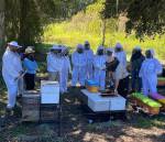 Beekeeping Classes – D & J Apiary